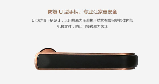 k6010 Fingerprint door locks biometric lock RFID CARD LOCK PASSWORD LOCKS