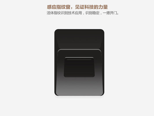 k6010 Fingerprint door locks biometric lock RFID CARD LOCK PASSWORD LOCKS