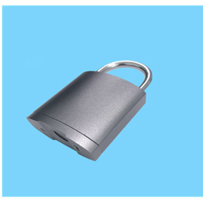 FINGERPRINT LOCK PADLOCK Biometric Fingerprint door locks