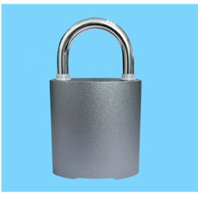 FINGERPRINT LOCK PADLOCK Biometric Fingerprint door locks