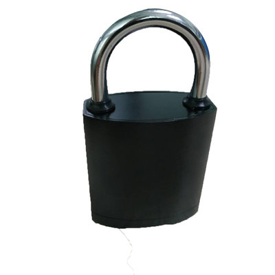FINGERPRINT LOCK PADLOCK Biometric Fingerprint door locks