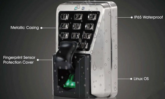 AC500  Ethernet Color Screen fingerprint Door Access Control & time attendance With Low Price