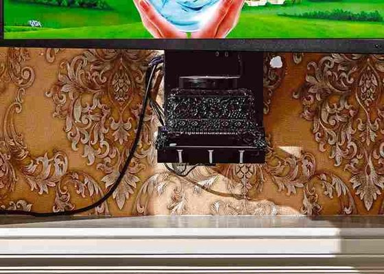 別荘/ホテル/レストランの装飾のふたの電気暖炉 TV は古典的立ちます