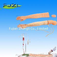 China Multi-Functional Iv Training Arm supplier
