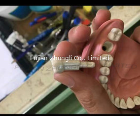 China Demonstration And Practice Kavo Teeth Long-lasting Durability for Dental Professionals supplier