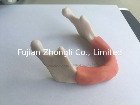 Dental Implant practice model & Implant Demonstraction Model