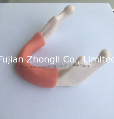 Dental Implant Training Mandible Model for Drilling, Bone Grafting and Gum Suturing supplier