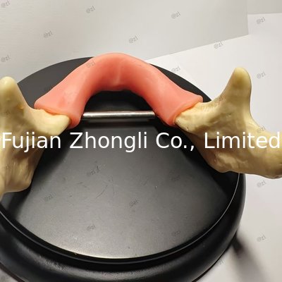Dental Implant Training Mandible Model with Soft Gingiva supplier