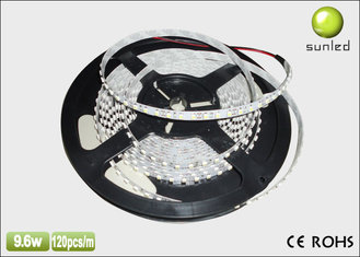 10m P20 IP65 IP68 waterproof 120 degree cool white, blue, RGB Flexible Led Strip Lights (120 / m)