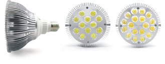 12v 24w PAR38 cool or warm white, RGB Led Spot Lamps (12 x 2W)