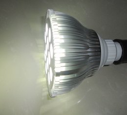 12v 24w PAR38 cool or warm white, RGB Led Spot Lamps (12 x 2W)