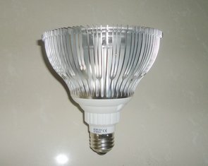 12v 24w PAR38 cool or warm white, RGB Led Spot Lamps (12 x 2W)
