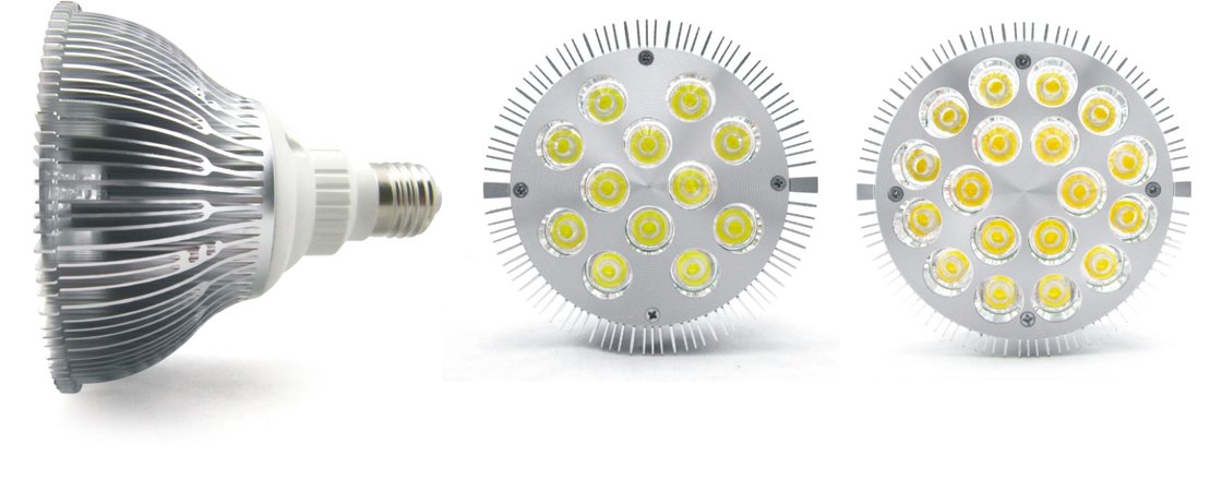 12v 24w PAR38 cool or warm white, RGB Led Spot Lamps (12 x 2W)