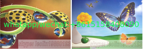 LC-1050XH Snow snowflake effect UV Snow two lamp uv curing machine cigarette and wine packing case