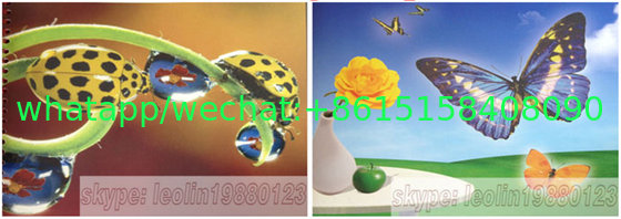 LC4060/6080/6090 Flat Bed Microcomputer t shirt screen printing machine plane paper，plastic, glass ceramics