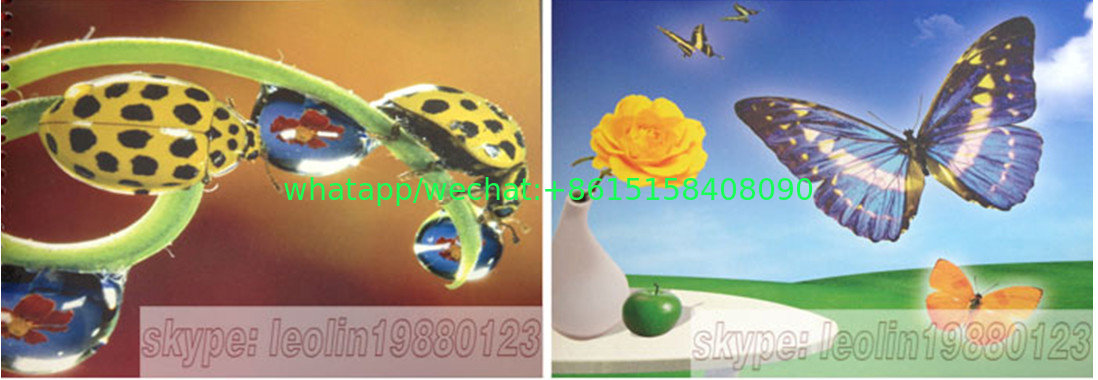 LC-1050XH Snow snowflake effect UV Snow two lamp uv curing machine cigarette and wine packing case