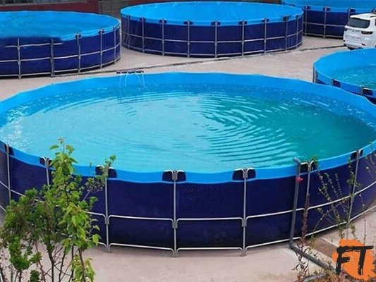 2022 Aquaculture Tanks Fish Farming Shrimp Farming Crab Farming Pools Ponds