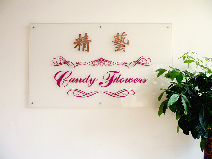 China Candy Flowers Leather CO.,LTD