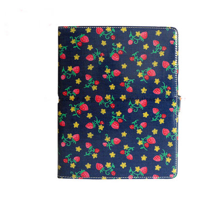 Vintage Strawberries iPAD 2 Canvas Storage Boxes
