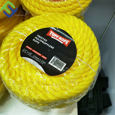 3 Strands Twisted Blue Color PP Danline Rope 12mmx100m