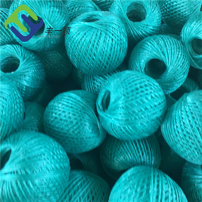Red Color PP Agriculture Baler Twine 2mmx300m Hot Sale
