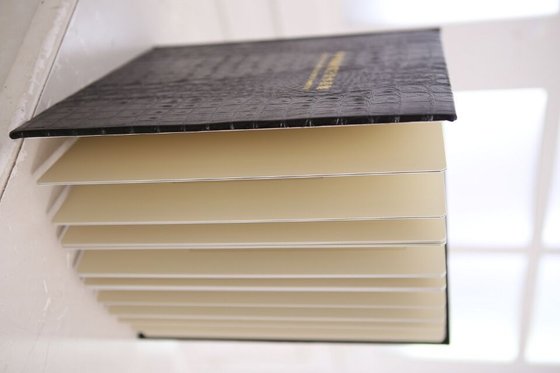 Individual 8 x 8 Luxury Leather Photo Albums With Golden Letters
