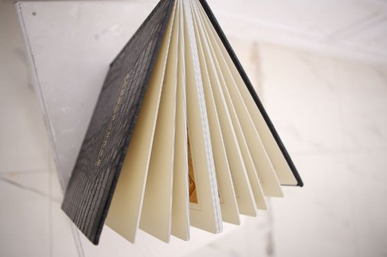 12 x 12 Professional Leather Photo Albums Wedding Album With Golden Words