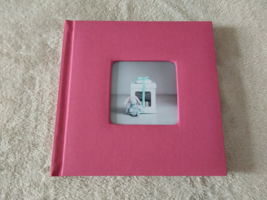 개인적인 임신/제 생일 사진첩 12 x 18의 PVC 안 페이지