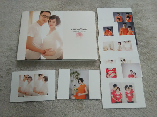 Professional Landscape 8x12 Photo Album Flush Mount with Cards