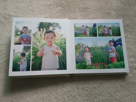 Customized Golden Leather Photo Albums , 12x8 Creative Digital Photo Books