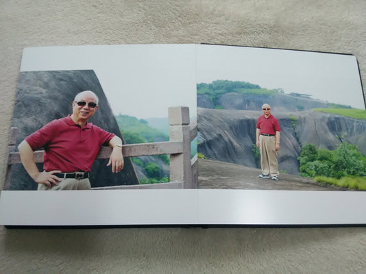 브라운 포도 수확 당을 위한 유일한 가죽 관례 홍조 산 앨범 11x14