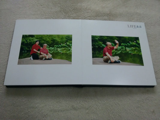 Recyclable Wedding Photo Books 12x16 / 11x14 Round Spine PVC Albums