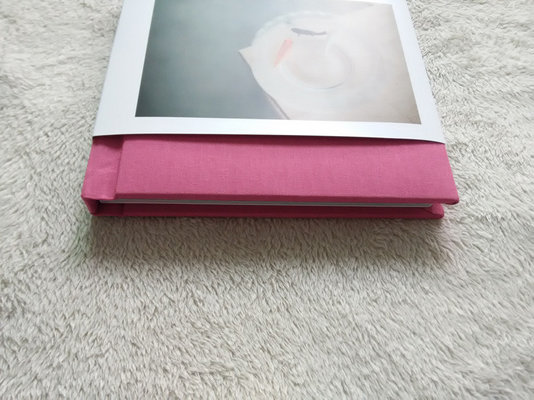 Contemporary Baby Flush Mount Photo Book 12 x 12 Waterproof