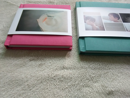 Custom Flush Mount Photo Album , Travel 10 x 10 PVC Album Matt Art Paper