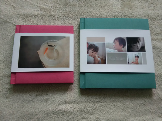 Flush Mounted Professional Photo Books Fancy 14 x 14 Printings