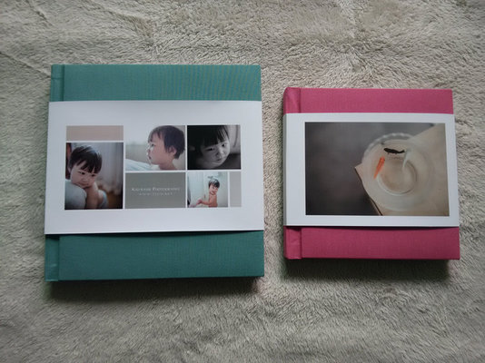 Beautiful 8x8 Colourful Cloth Pet Flush Mount Photo Album Scratch Resistant