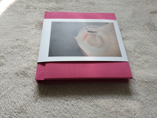 Unique Party Flush Mount Albums , Stain Resistant Cloth 8x8 Photo Books