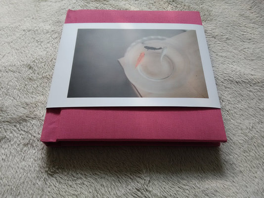 Creative Flush Mount Photo Album , Fabric Travel 12 x 12 Wedding Books
