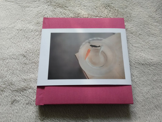 Classical Individual Flush Mount Photo Album 8x12 For Wedding