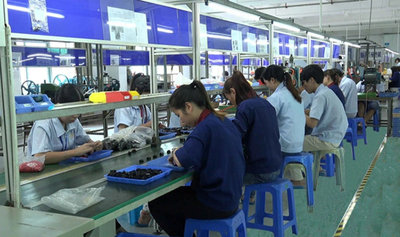 Guangdong Fulong Enterprise Co. Ltd