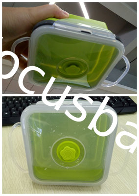 FBYCG171023001 Microwave portable collapsible eco-friendly bowl supplier