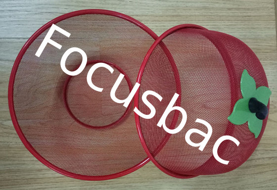 FBWZ102501 PP spray painting iron net food-grade fruit basket supplier