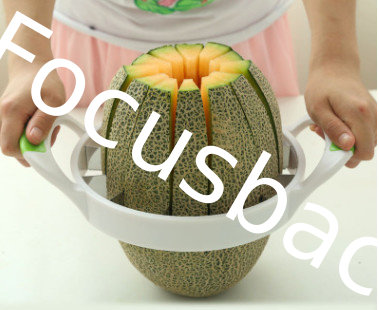 FBAB5034 for wholesales  melon slicer stainless steel sclier plastic handle supplier