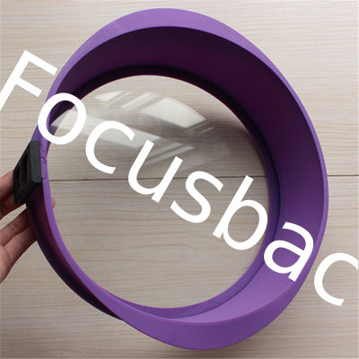Custom Made Newest Design Silicone 9 Inch Springform Cheesecake Baking Pan With Glass Base supplier