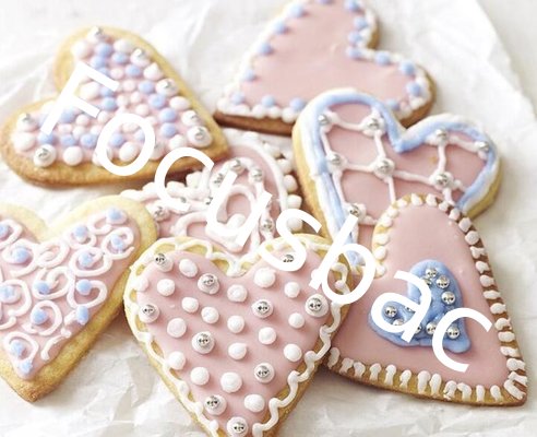 FBT010604 for wholesales pastry icing piping bag sugar craft cake decorating pen supplier