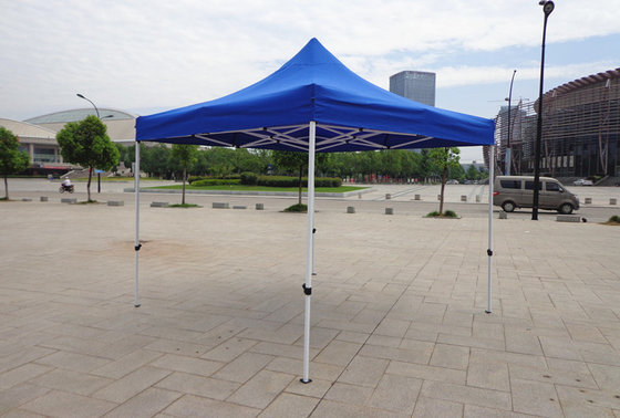 Folding 10 x 10 Canopy Tent
