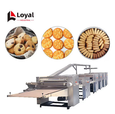 304 Stainless Steel Complete Biscuit Production Line for Walnut Cake Biscuits