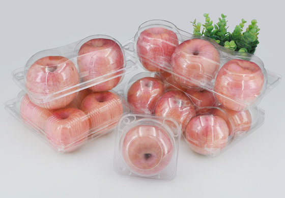 Manufactury Disposable plastic fruit packaging punnet Food grade material PET plastic food packaging box FDA EU approved