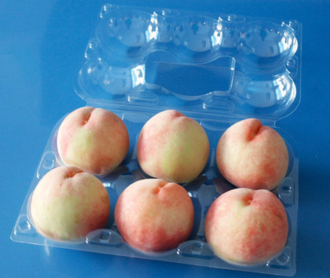 Manufactury Disposable plastic fruit packaging punnets Food trade material PET plastic food packaging box