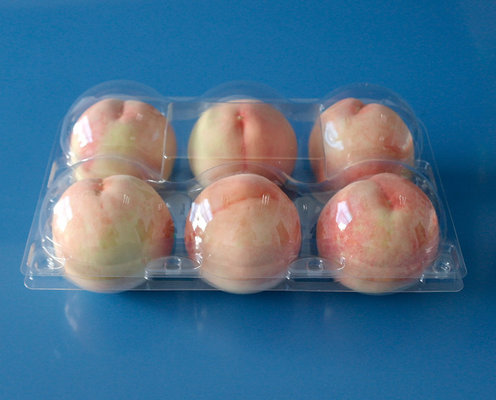 Manufactury Disposable plastic fruit packaging punnets Food trade material PET plastic food packaging box